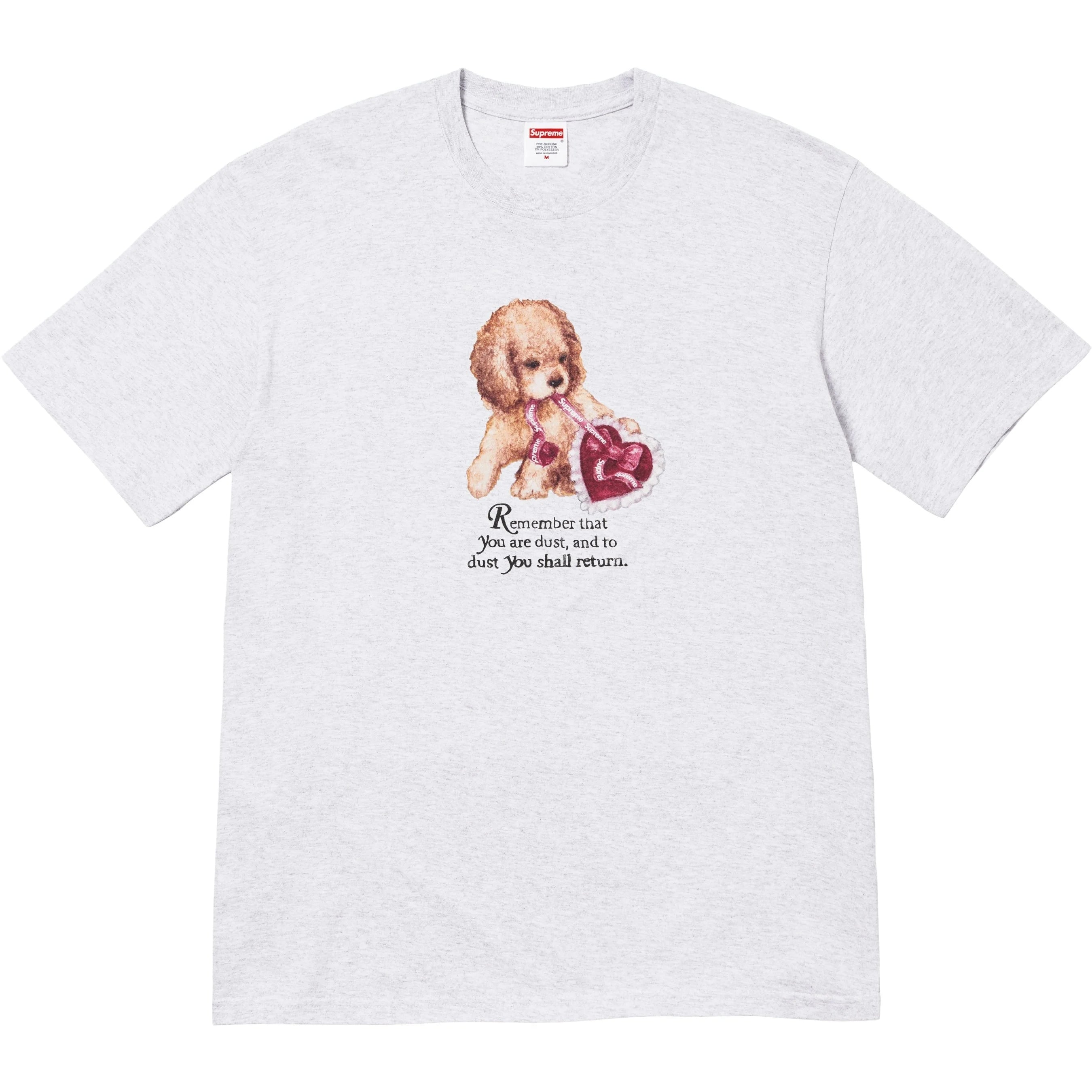 SUPREME 25FW DUST TEE – CONCEPTSTOREHK